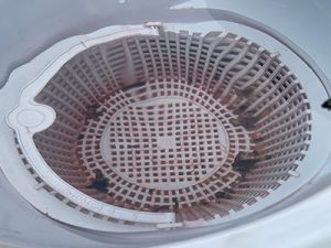 How To Get Rid of Pink Algae in Your Pool