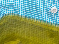 Yellow Algae In Pool | Mustard Algae Removal | Pool Cleaning Tips